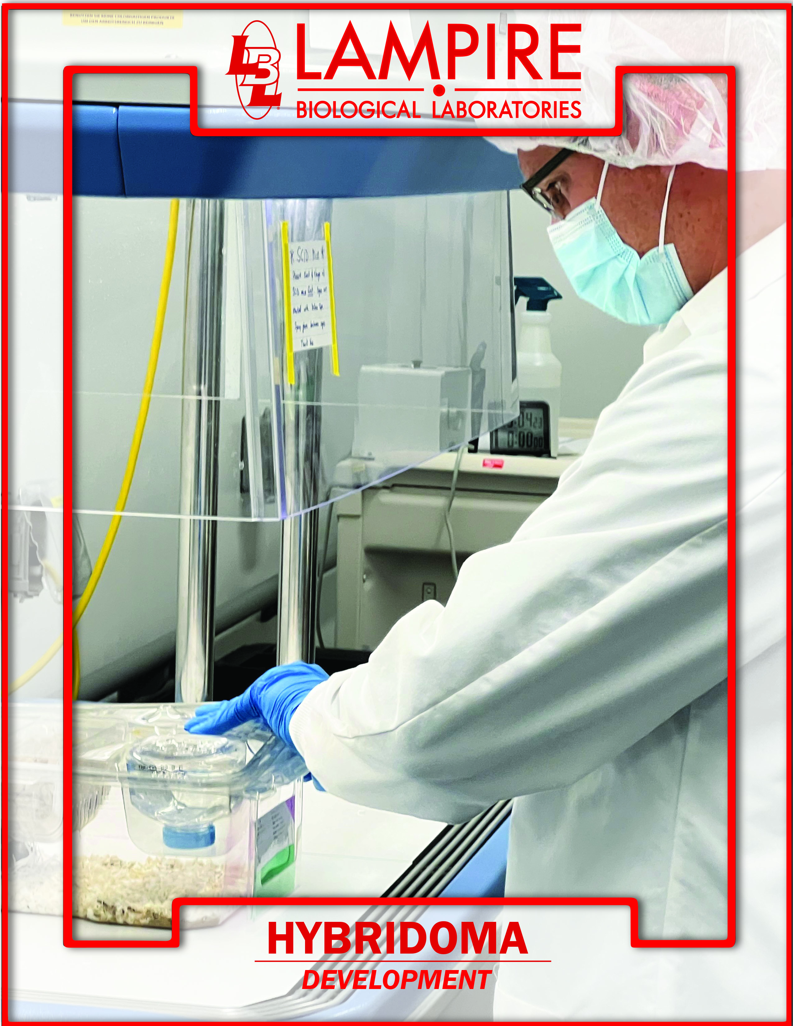 Hybridoma Development | Lampire Biological Laboratories, Inc.